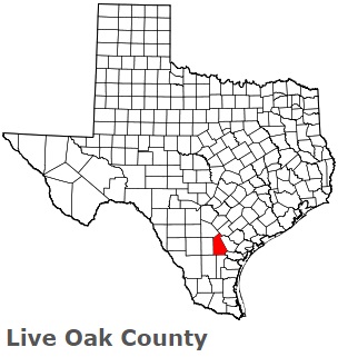 Live Oak County on the satellite map of Texas 2024. Actual satellite ...