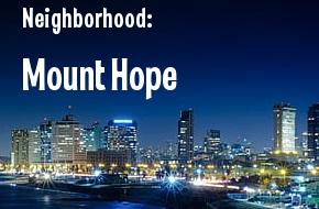 Satellite map of Mount Hope, New York City, NY. Streets and houses of ...