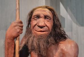 Why did the Neanderthals become extinct?